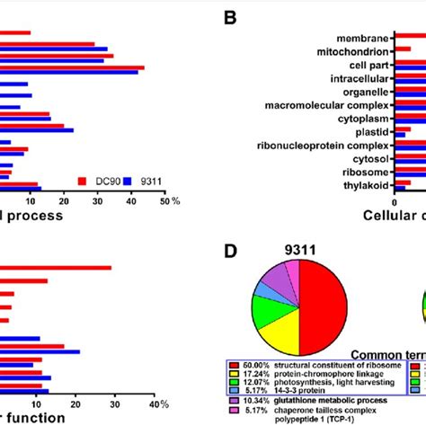 Go Enrichment And Functional Classification Analysis Of Deps Between