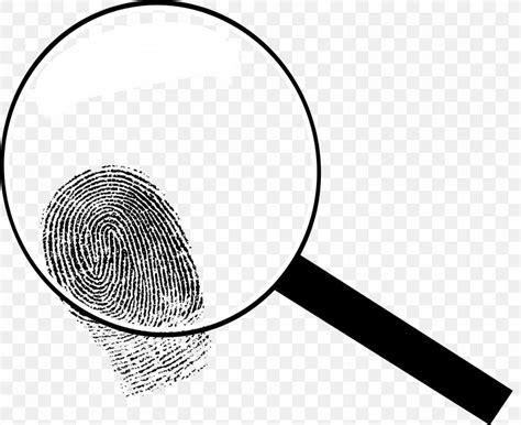 Magnifying Glass Detective Clip Art Png 2934x2393px Magnifying Glass