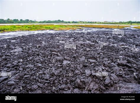 Pitch Lake The Largest Natural Deposit Of Asphalt In The World La
