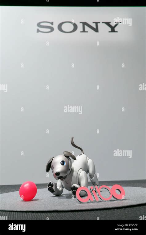 Tokyo Japan 1st Nov 2017 Sonys New Robot Aibo On Display During A News Conference At