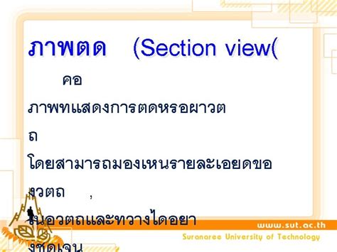 Basic Of Sectioning Section Line