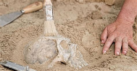 First Ever Skull Fragments Of Denisovans Have Been Confirmed Found In