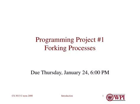 PPT Programming Project 1 Forking Processes PowerPoint Presentation