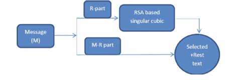 Rsa Based Singular Cubic Curve With Avk 6 Download Scientific Diagram