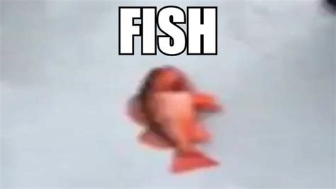Fish Ftstan Rstanleymov