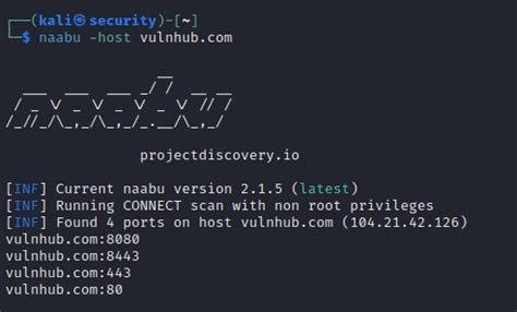 Naabu The Fast And Extensible Network Scanner For Reconnaissance