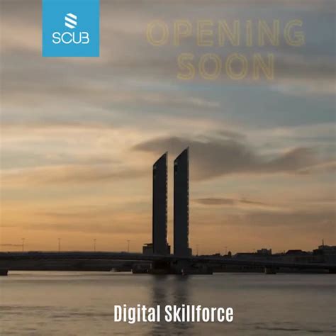 Scub Sur Linkedin Scub Technology