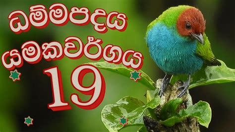 ධම්මපදය යමක වර්ගය 19 Youtube