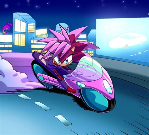 23 Best Sonia The Hedgehog Images On Pinterest Hedgehog Hedgehogs