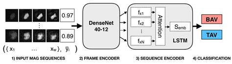 Deep Neural Network For Mri Sequence Classification Each Mri Frame Is