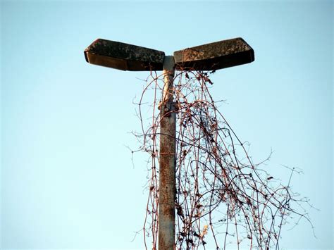무료 이미지 나무 풍차 비슷한 것 바람 늙은 돛대 기계 가로등 램프 전기 조명 풍화 된 전등 과거