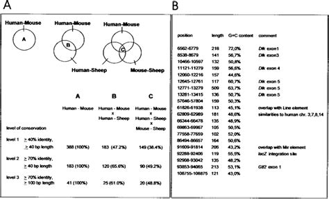 identification of highly conserved elements a the strategy for the