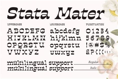 Stata Mater Font Free Font