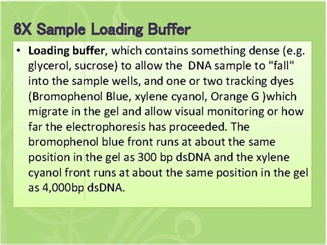 6x Dna Gel Loading Dye Recipe Deporecipe Co