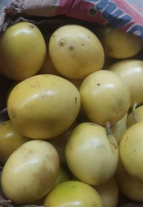 Buah Markisa Kuning Segar Lazada Indonesia