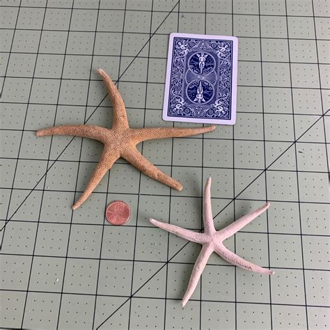 Starfish Estatesales Org