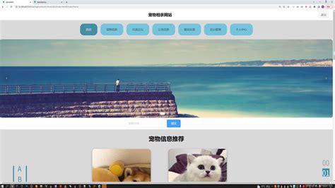 基于spring boot和vue的宠物相亲网站的设计与实现 springboot宠物交友 csdn博客