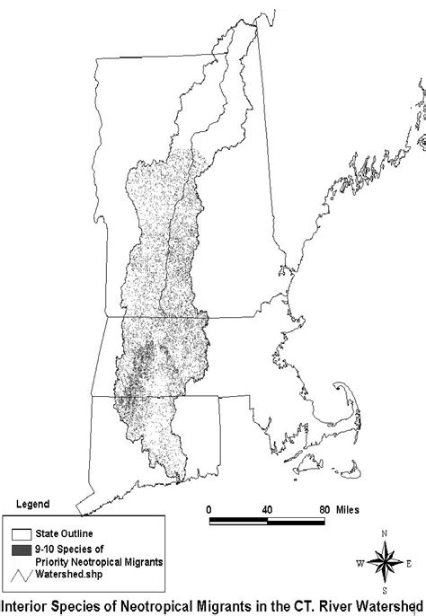 Highest Class Of Interior Nesting Species Of Birds Download Scientific Diagram
