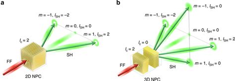 Illustrating The Concept Of Nonlinear Wavefront Shaping In Nonlinear