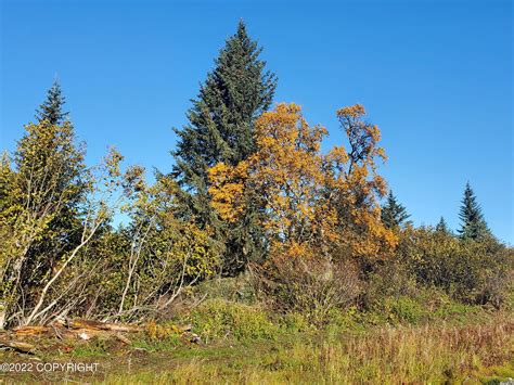 67534 Shavila Rd Ninilchik Ak 99639 See Est Value Schools And More