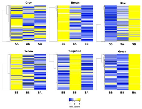 differential gene expression patterns in peach roots under non uniform