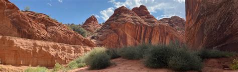 Wire Pass Trail Utah 3333 Reviews Map Alltrails