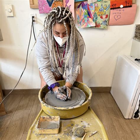 Programming Lotus House