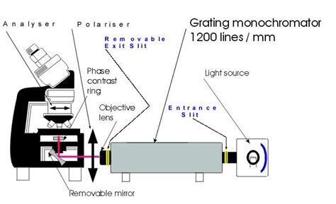 What Is Refractive Index In Microscope