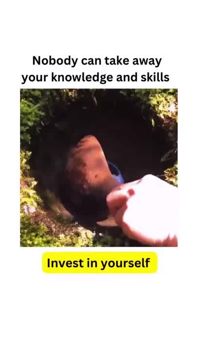 Sufian Zulfiqar On Linkedin Invest Opportunity Careergrowth