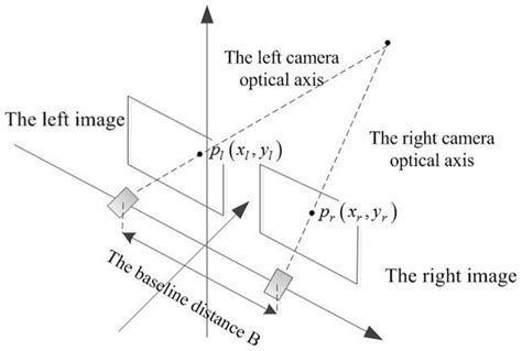 Schematic Diagram Of Binocular Stereo Vision Download Scientific Diagram