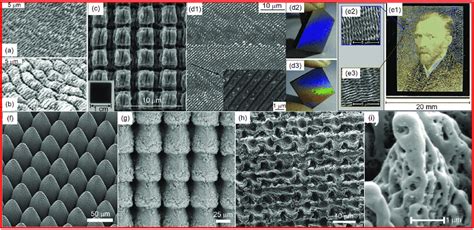 Color Online The Micro Nano Structures On Different Surfaces Ablated