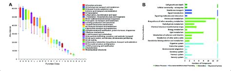 Pathway Analysis Of Candidate Genera And Metabolites A The Download Scientific Diagram