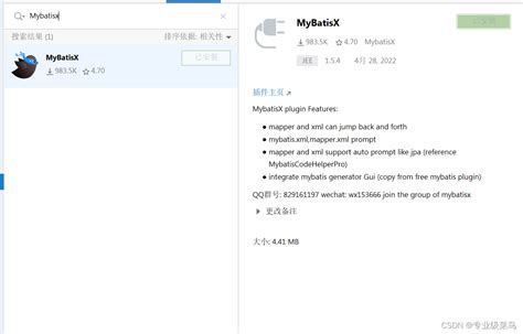 Mybatisx插件的使用 快速配置mybatisx如何快速设置配置文件 Csdn博客