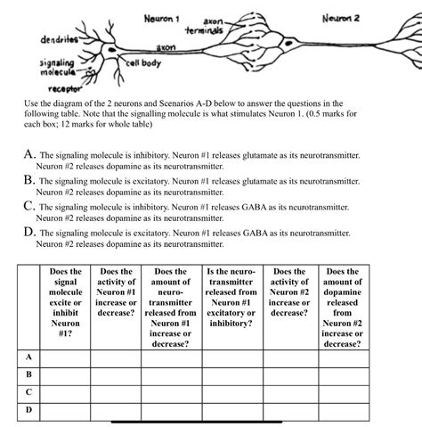 Solved Use The Diagram Of The Neurons And Scenarios A D Chegg