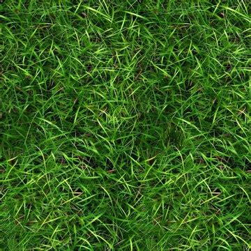 Green Grass Field Natural Landscape Concept Premium Ai Generated Image