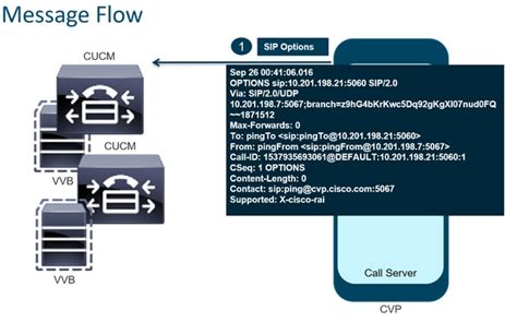 configure and troubleshoot cvp sip heartbeats cisco