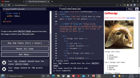 Changing Width Size In Img Element Html Css The Freecodecamp Forum