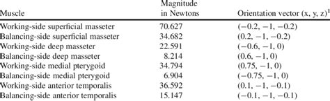 1 Muscle Forces Applied To Finite Element Model Download Table