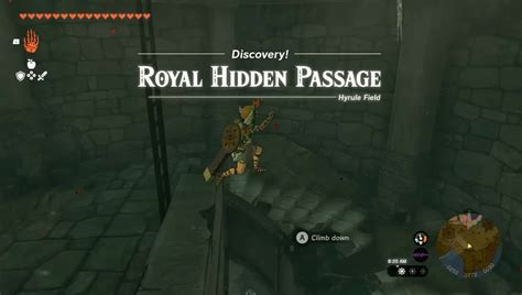 How To Unlock Royal Hidden Passage In Zelda Totk