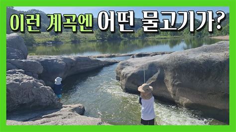 계곡에서 역대급 물고기를 잡았습니다~ 계곡낚시 배스낚시 Youtube