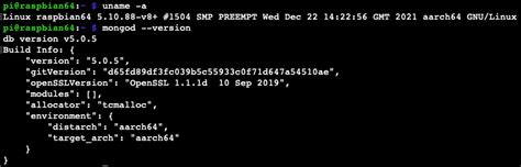 mongodb 5 0 under raspberry pi os 64 bit