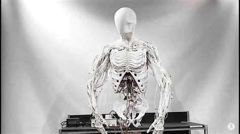 Clone Robotics Humanoid Torso A Leap Toward Realistic Ai Powered