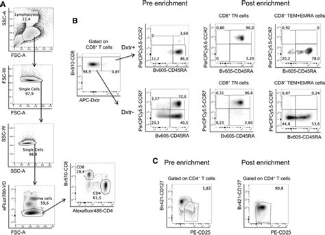 A Representative Flow‐cytometry Fc Analysis Of The Gating Strategy