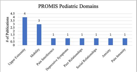 Patient Reported Outcomes Measurement Information System Promis
