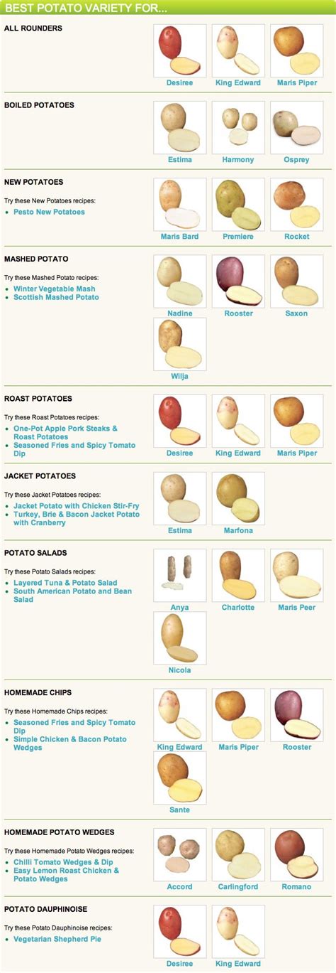 Potato Varieties And Their Uses Potato Varieties Recipes Nutritious