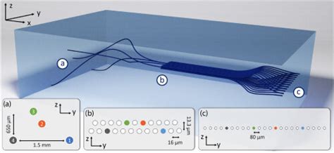 Design Of The Beam Combiner With Pupil Remapper And Fan Out
