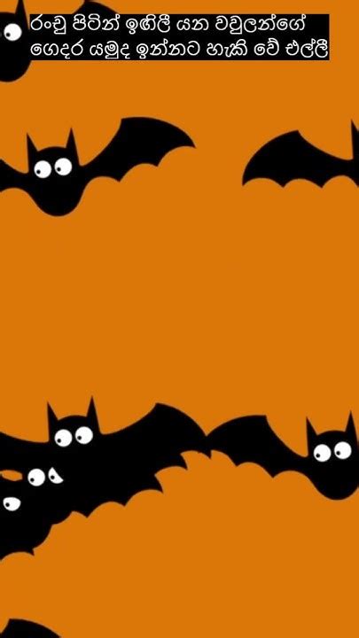 වවුලගෙ ගෙදර යමුද එල්ලිල ඉන්න නිසඳැස් කවි Sinhala Nisadas Youtube