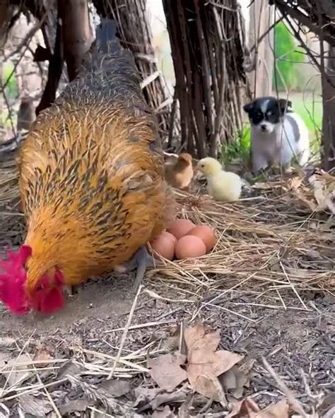 Sreenu Pasunuri On Linkedin Speechlessness 👏😊