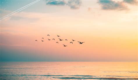 Empowering Our Operational Teams The Continuous Learning Journey