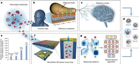 Scientists Invent Super Sniffer Chips Mimicking Human Nose For